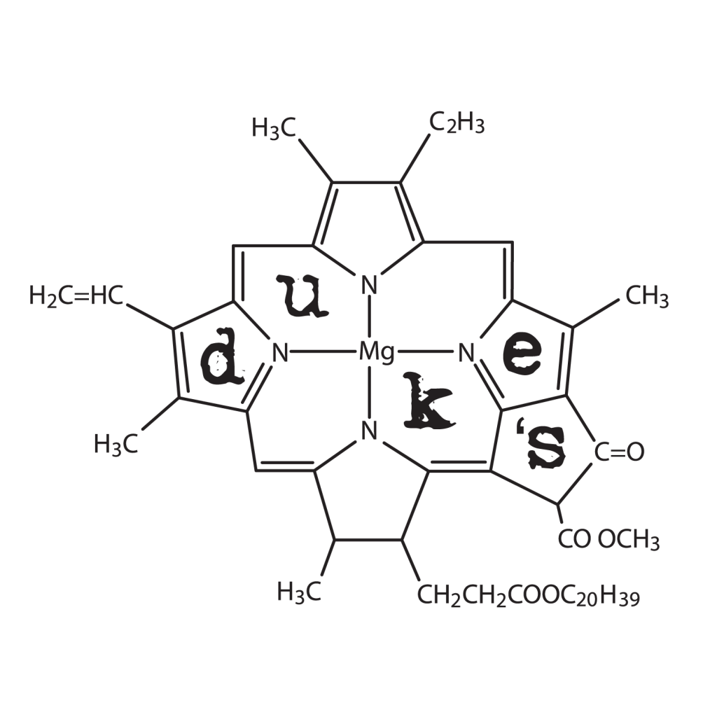 NIGHT OWL BIKE RIDE – Raue Center For The Arts